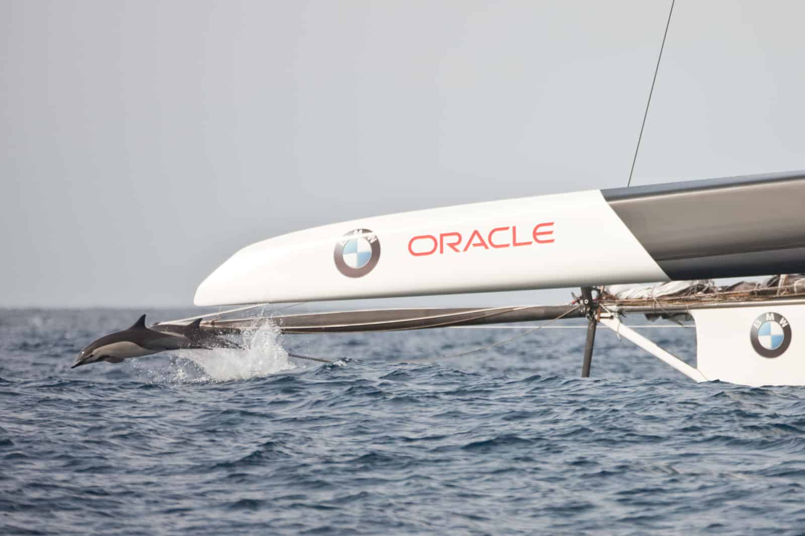 USA17 (BMW Oracle Racing 90) - VPLP Design